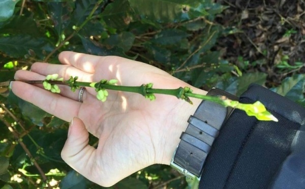 Como o uso de novas tecnologias pode diminuir os custos de produção no ...