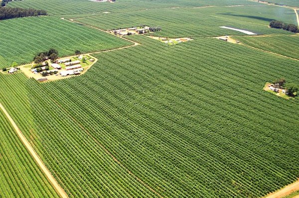 Rasip minimiza tempo de resposta e ganha agilidade na produção com BI ...